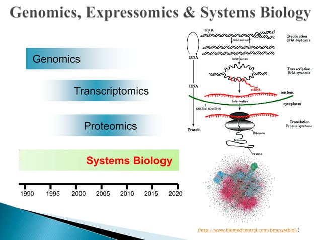 Interactomics, Integromics to Systems Biology: Next Animal ...
