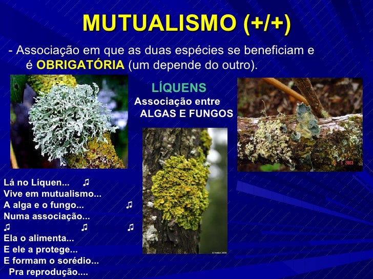 Interações ecologicas completa