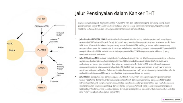 Interaksi-Protein-Protein-dan-Signaling-Pathways-dalam-Pengembangan-Kanker.pptx
