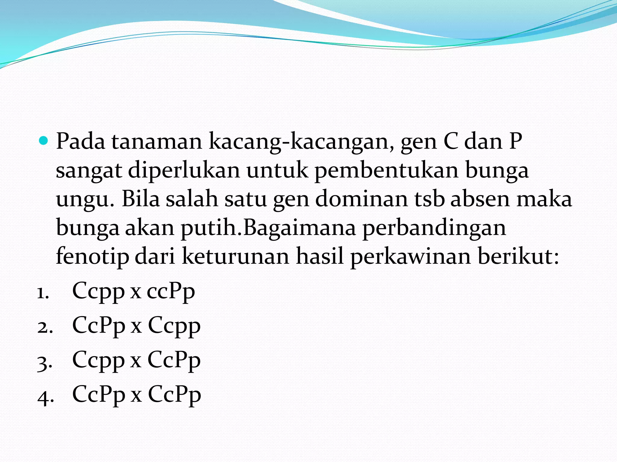 Interaksi antara gen-gen | PPTX