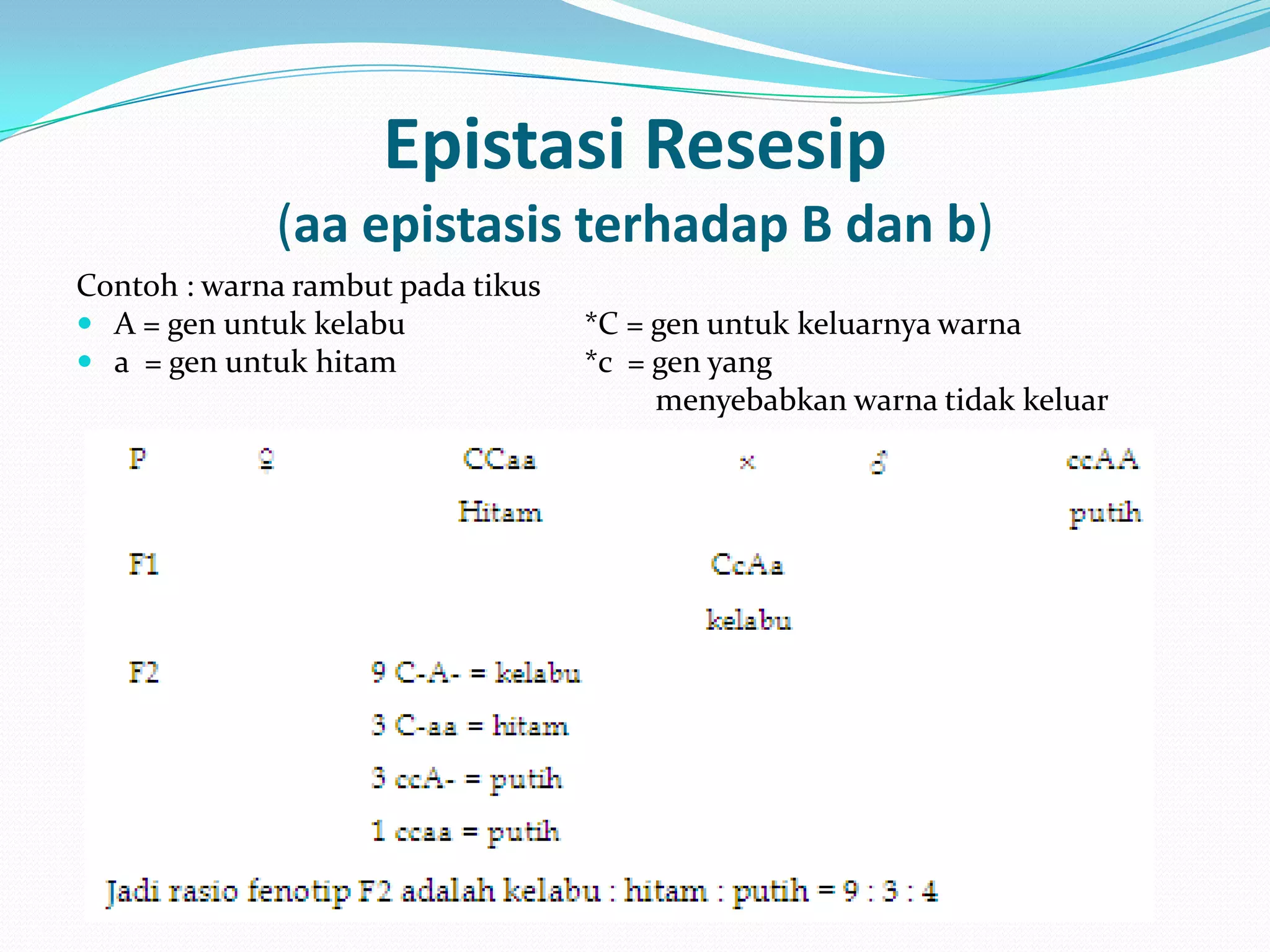 Interaksi antara gen-gen | PPTX