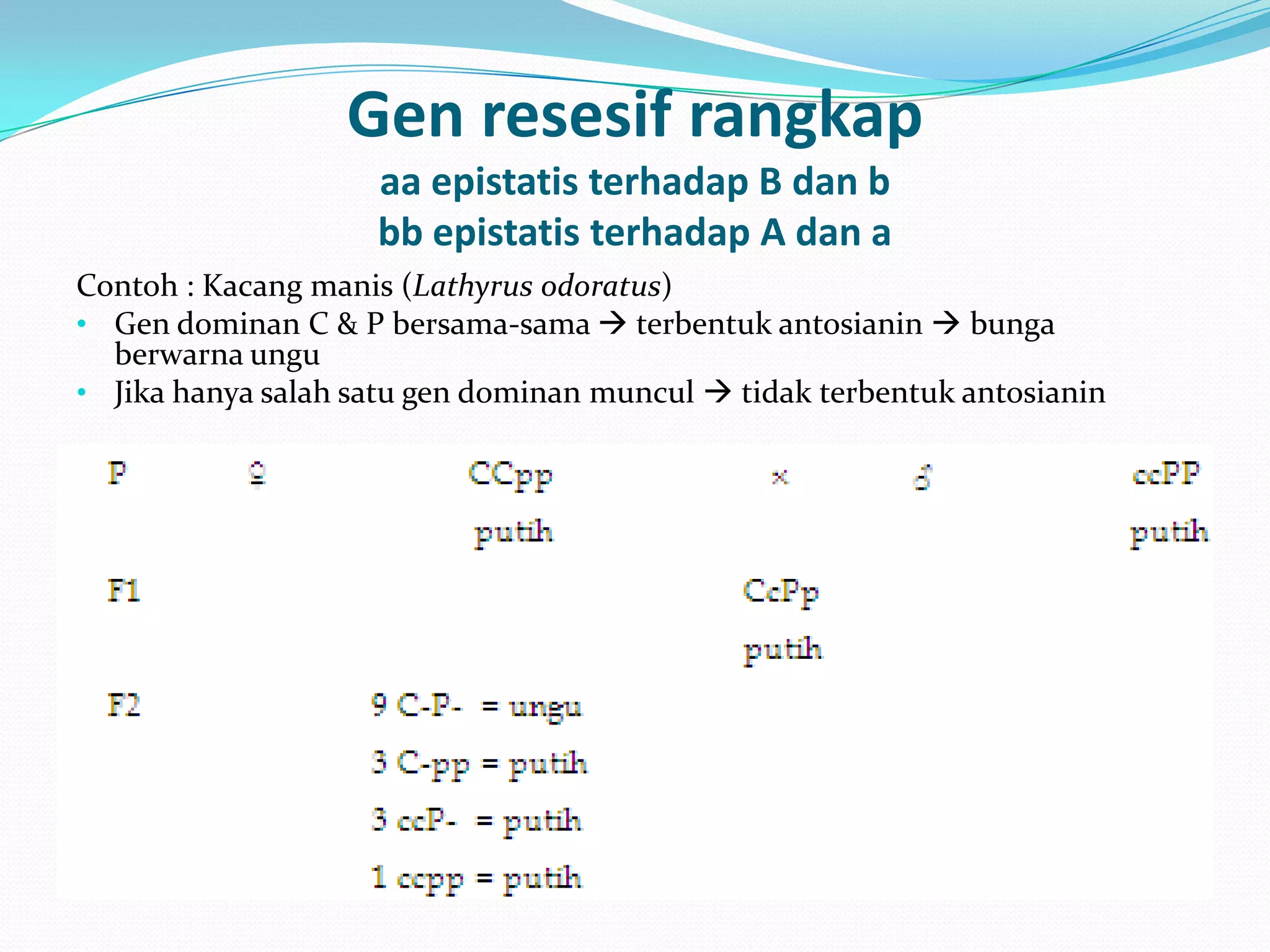 Interaksi antara gen-gen | PPTX