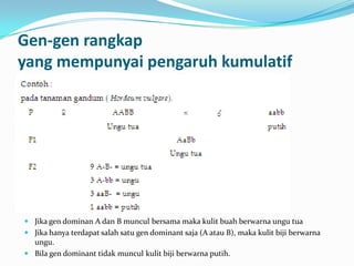 Interaksi antara gen-gen | PPTX