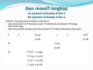 Interaksi antara gen-gen | PPTX