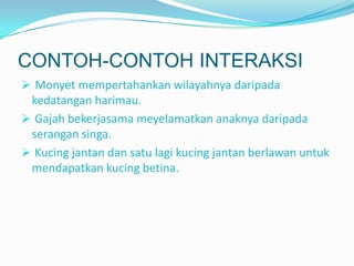 Interaksi antara haiwan (raja) | PPTX