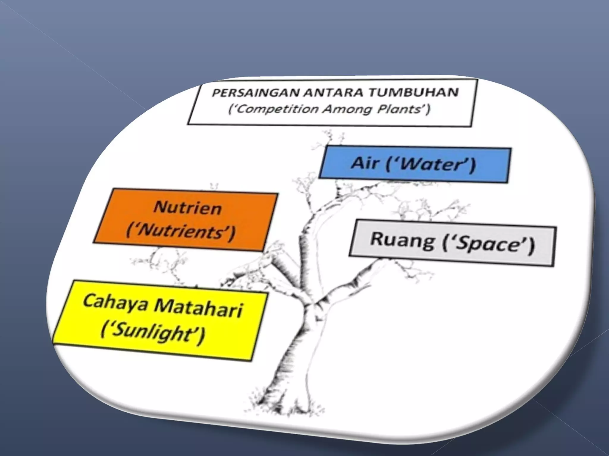 Interaksi antara tumbuhan | PPT