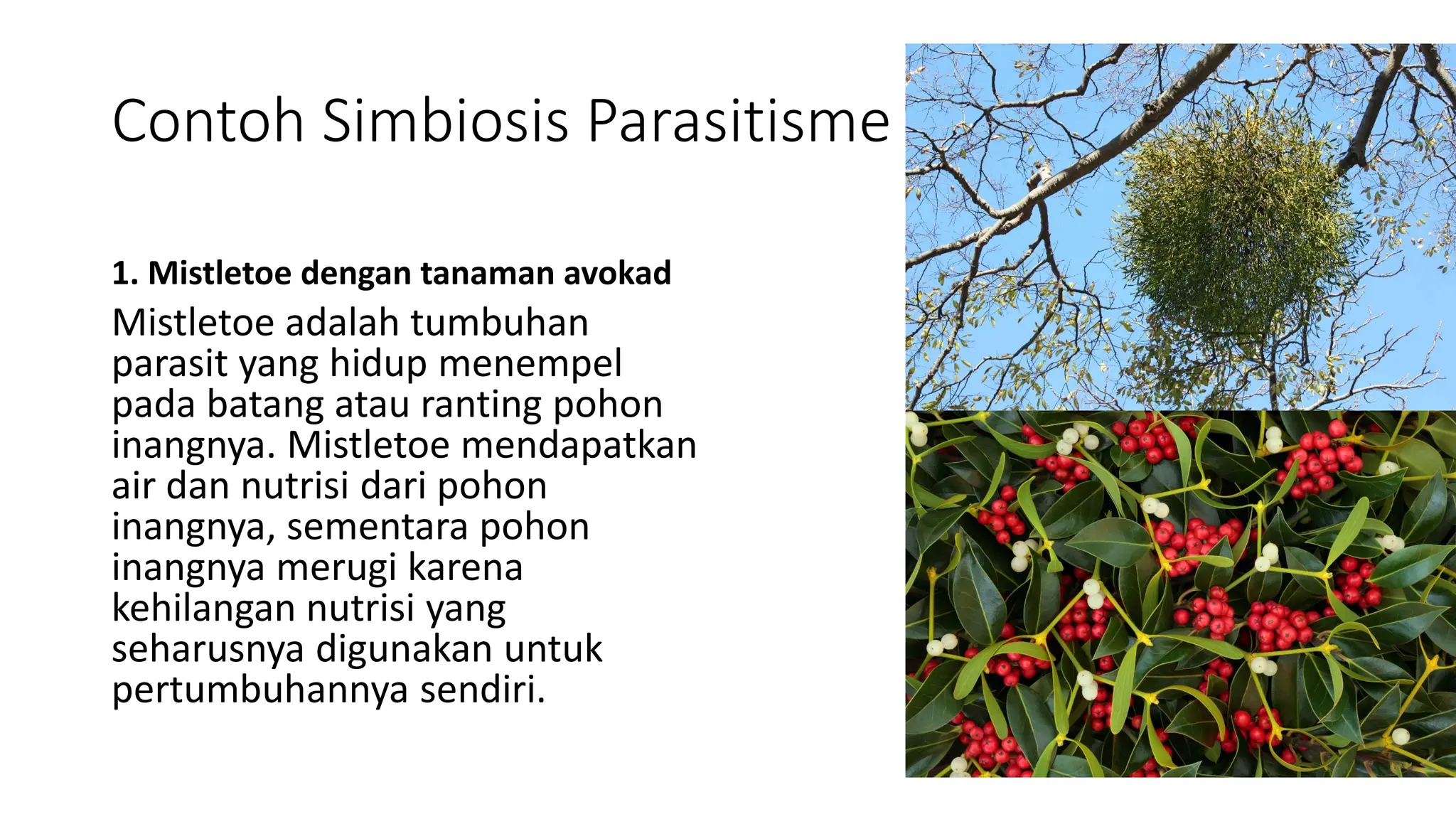 Interaksi Antar Komponen dalam Ekosistem.pdf