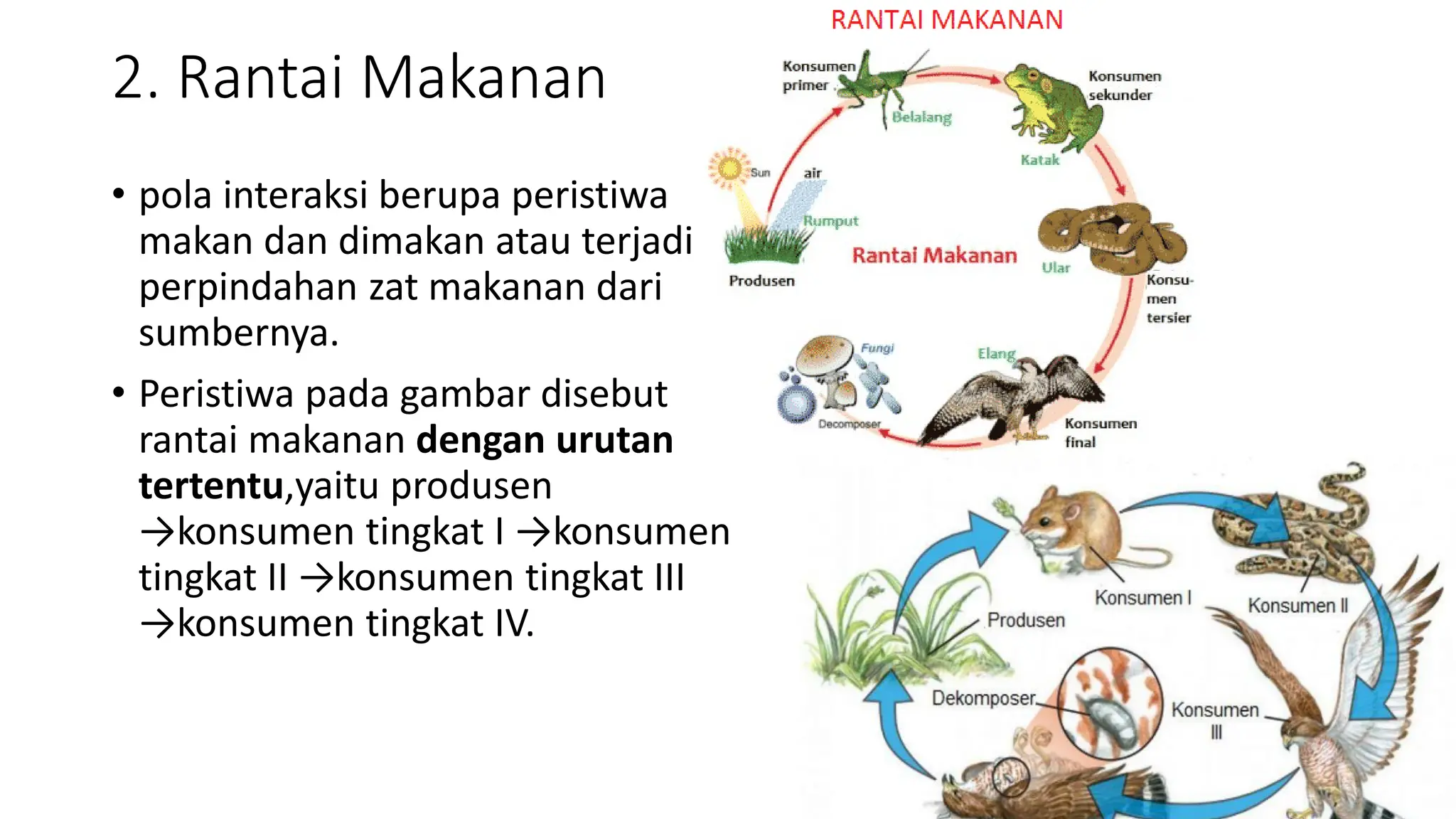 Interaksi Antar Komponen dalam Ekosistem.pdf