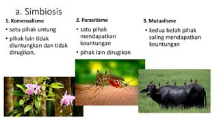 Interaksi Antar Komponen dalam Ekosistem.pdf