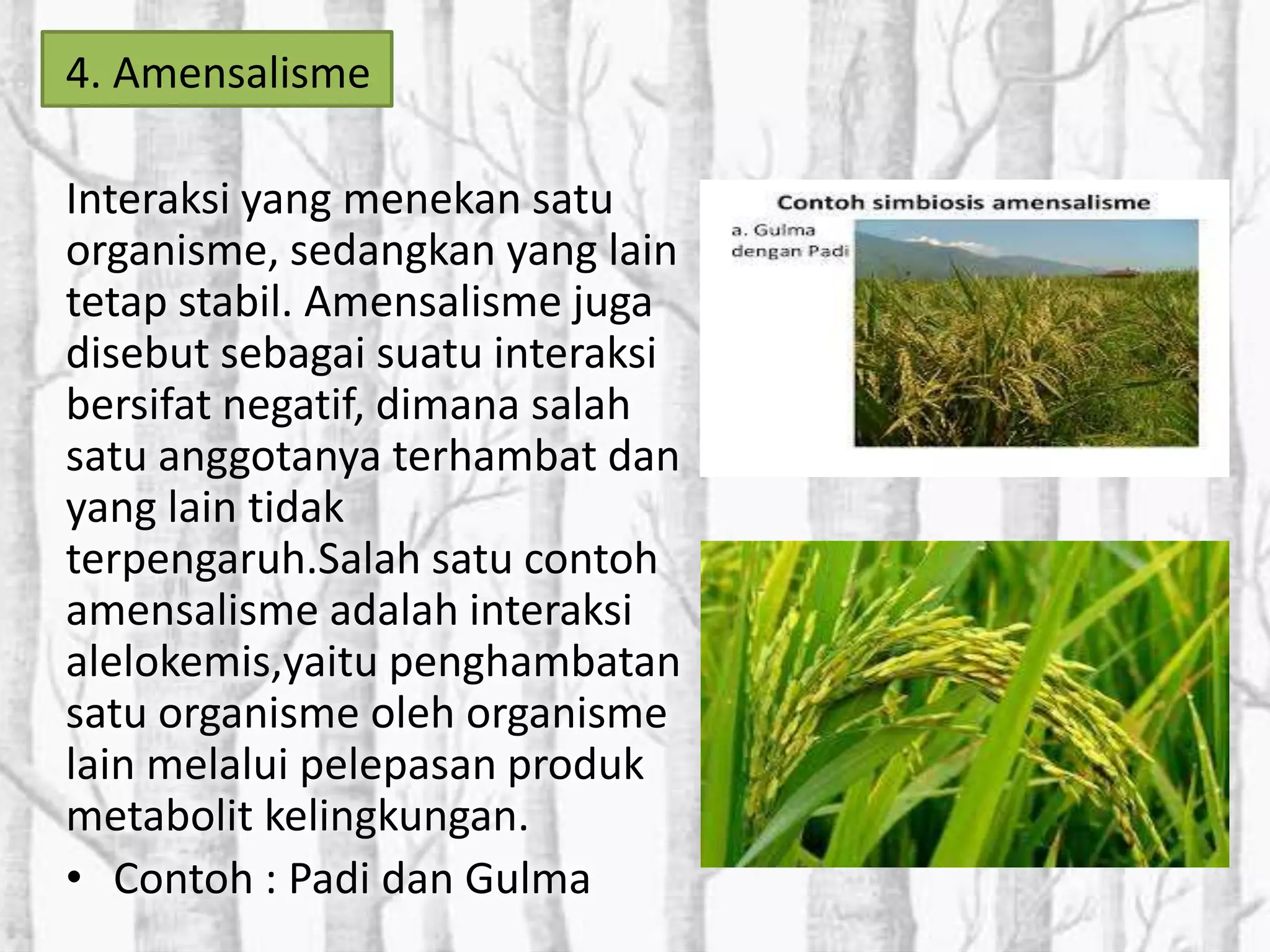 Interaksi antar spesies | PPTX