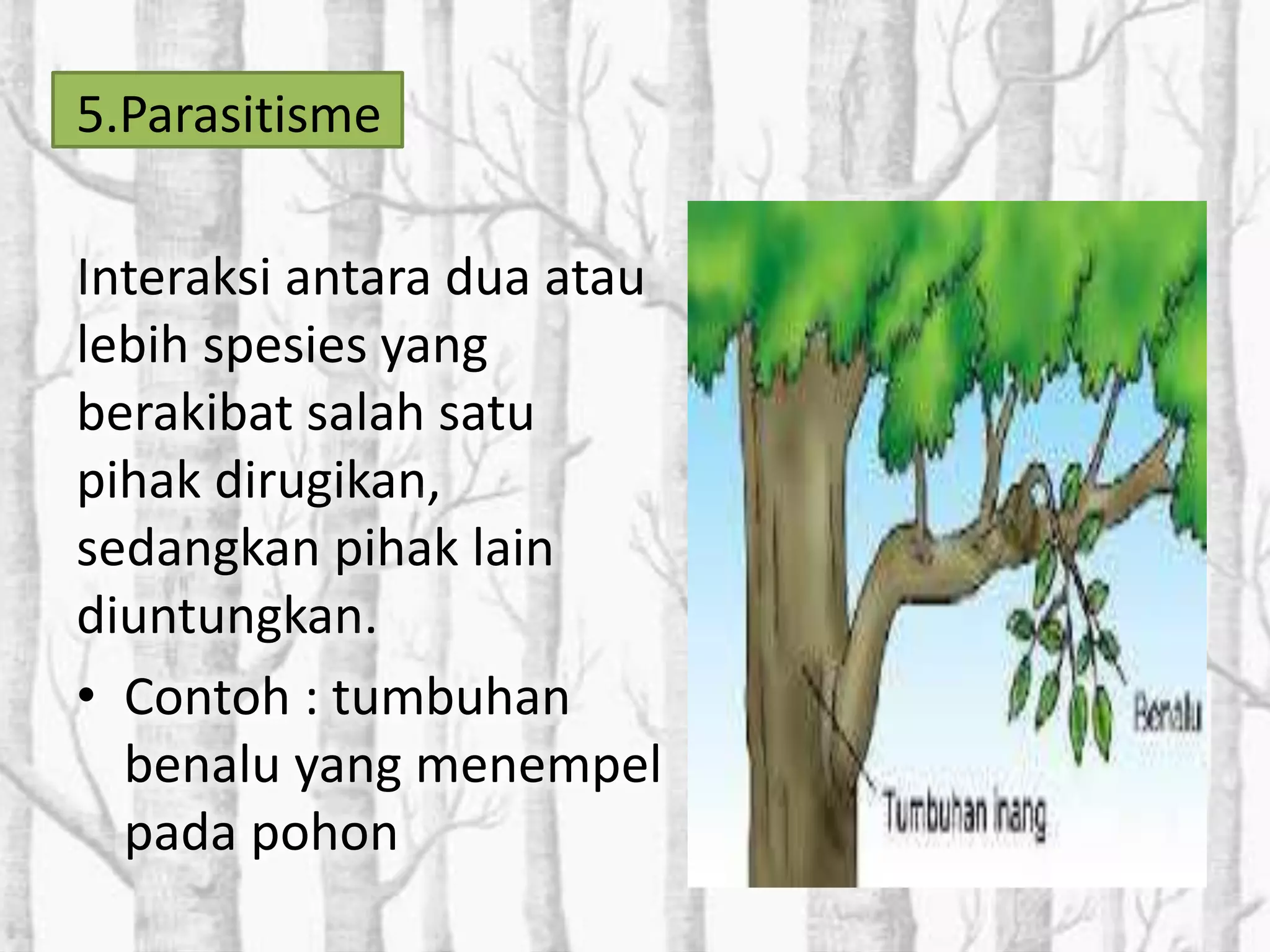 Interaksi antar spesies | PPTX