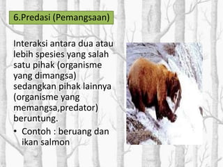 Interaksi antar spesies | PPTX