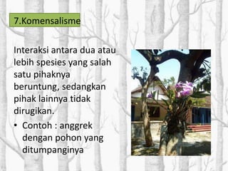 Interaksi antar spesies | PPTX