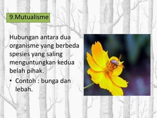 Interaksi antar spesies | PPTX