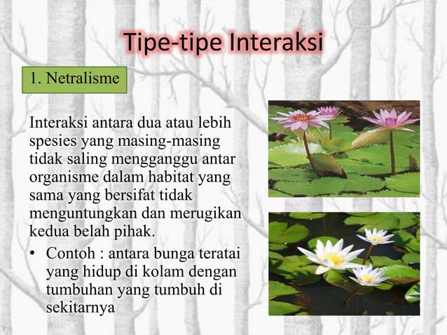 Interaksi antar spesies | PPTX
