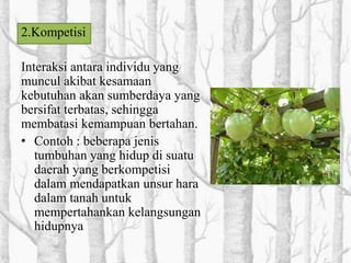 Interaksi antar spesies | PPTX