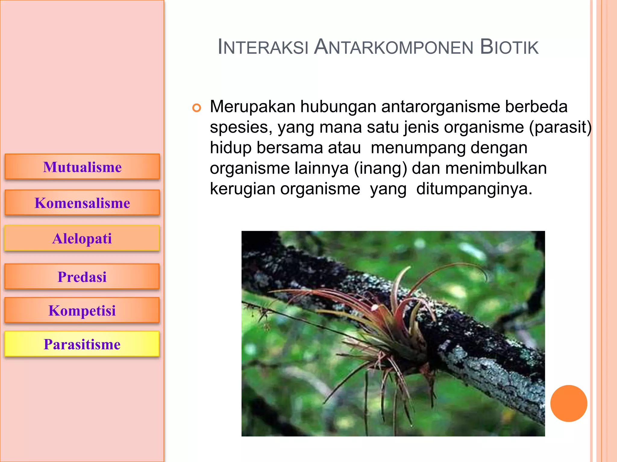 Interaksi antar spesies pada ekosistem | PPT