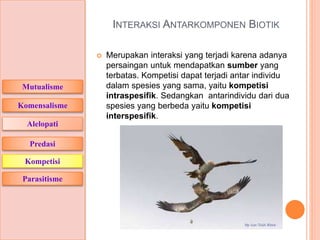 Interaksi antar spesies pada ekosistem | PPT