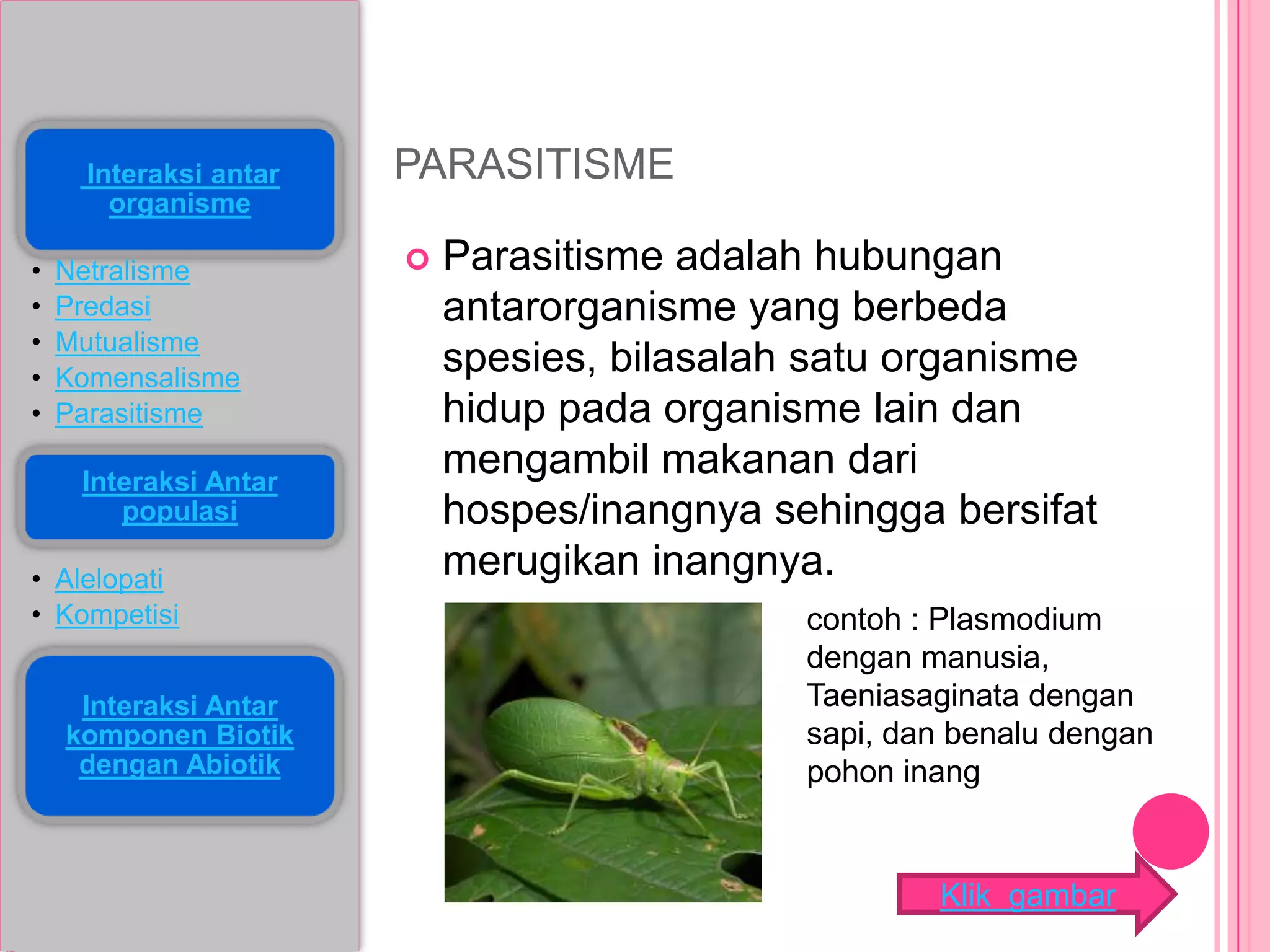 Interaksi dalam ekosistem | PPTX