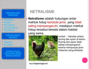 Interaksi dalam ekosistem | PPTX