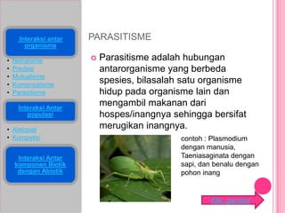 Interaksi dalam ekosistem | PPTX