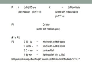 Interaksi gen dapat diklasifikasikan berdasarkan mekanisme dan efeknya ...
