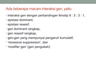 Interaksi gen dapat diklasifikasikan berdasarkan mekanisme dan efeknya ...