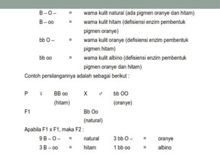Interaksi gen dapat diklasifikasikan berdasarkan mekanisme dan efeknya ...