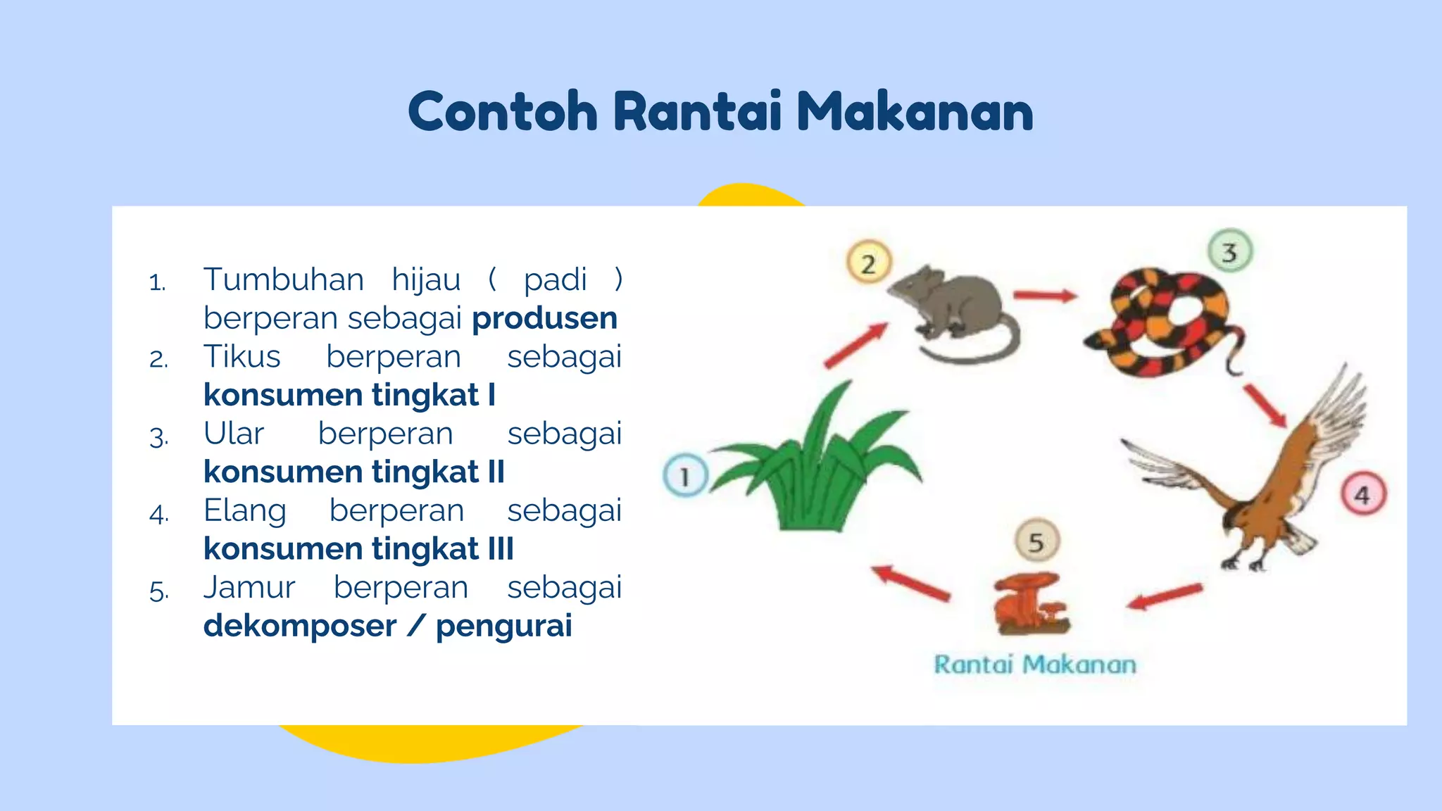 Interaksi makh hidup pertemuan 4 | PPTX