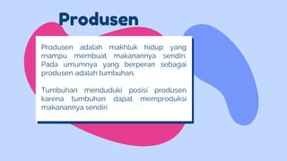 Interaksi makh hidup pertemuan 4 | PPTX