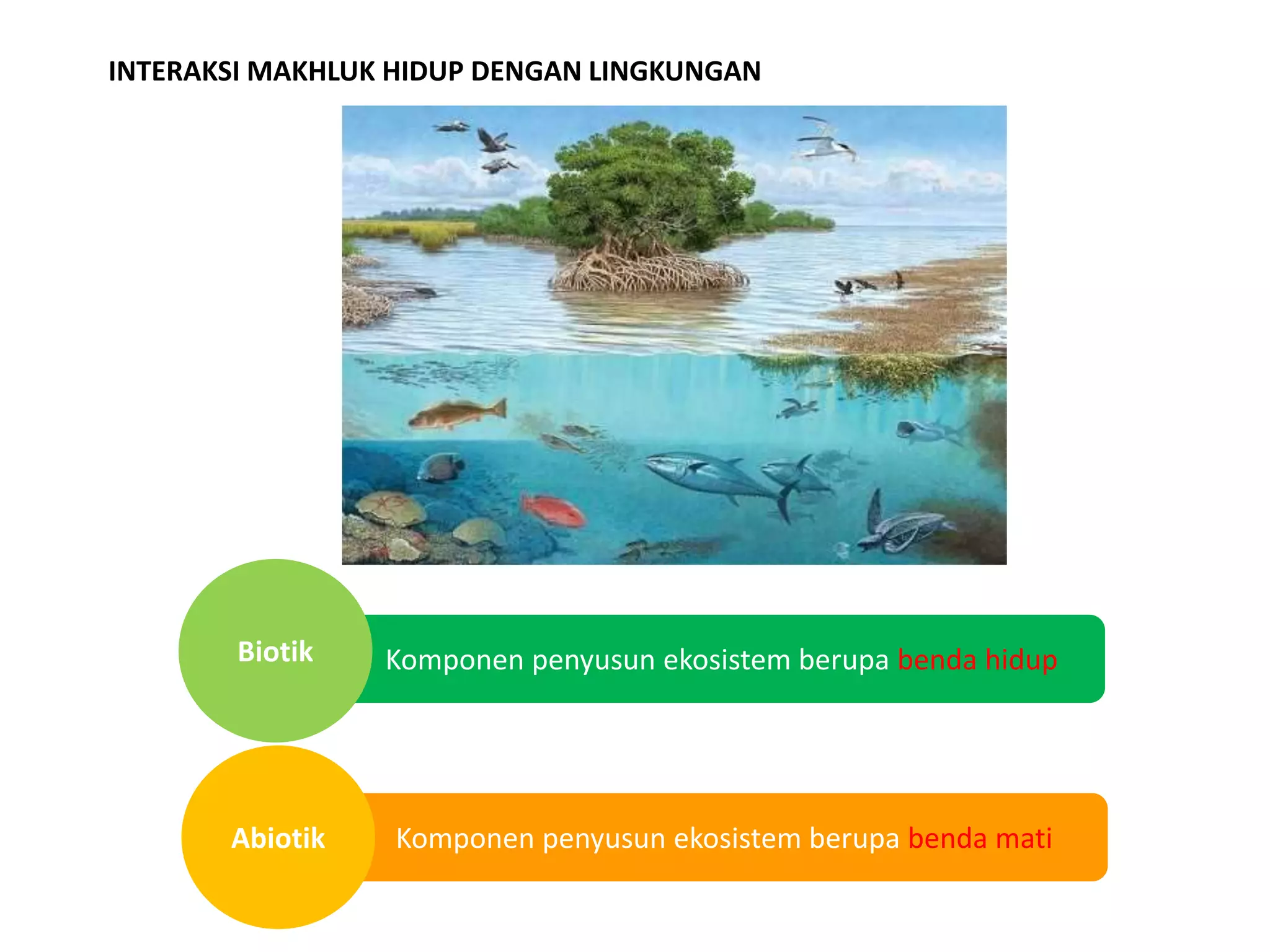 INTERAKSI MAKHLUK HIDUP DENGAN LINGKUNGAN.pptx