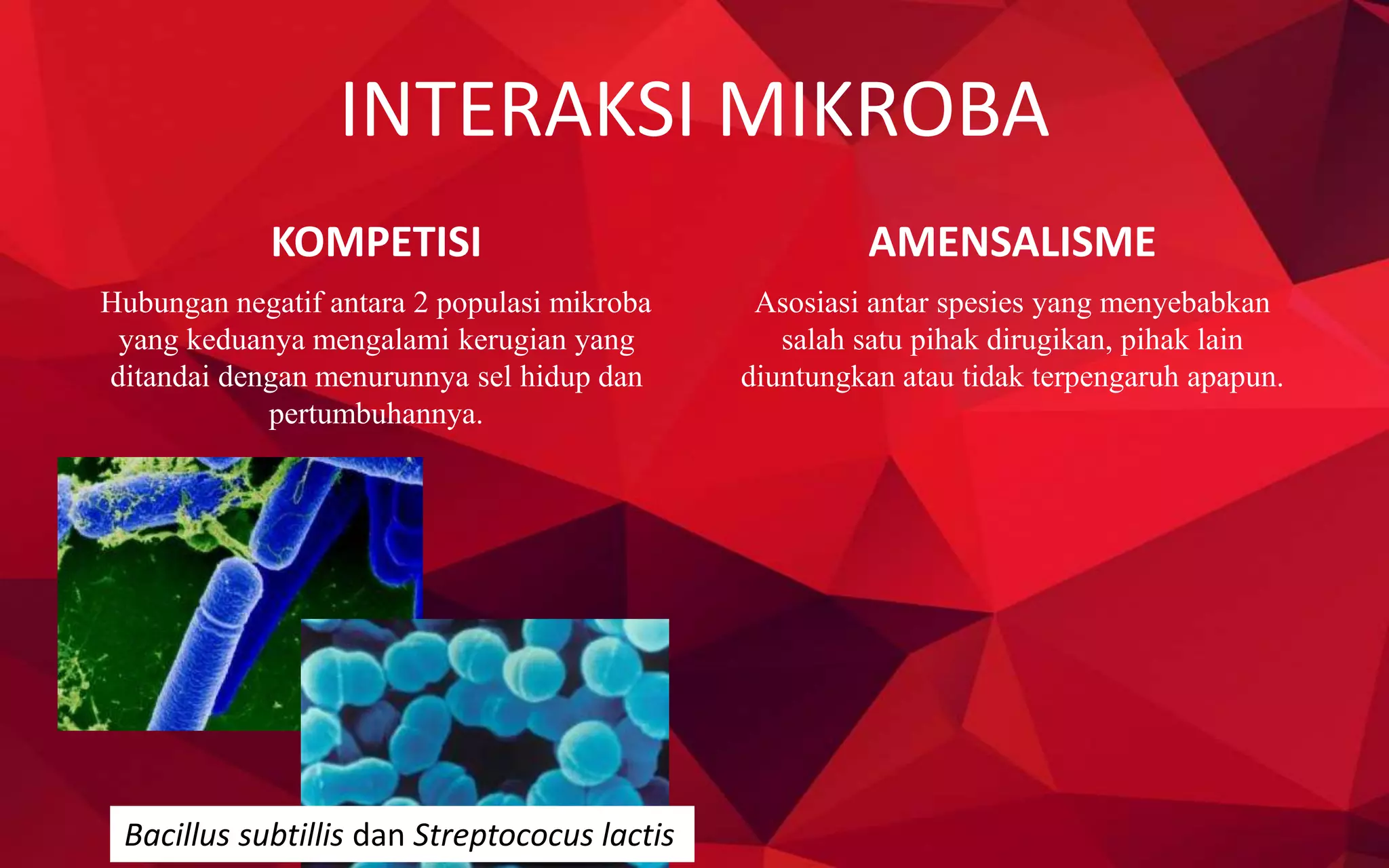Interaksi Mikroba - Mikrobiologi Pertanian | PPTX