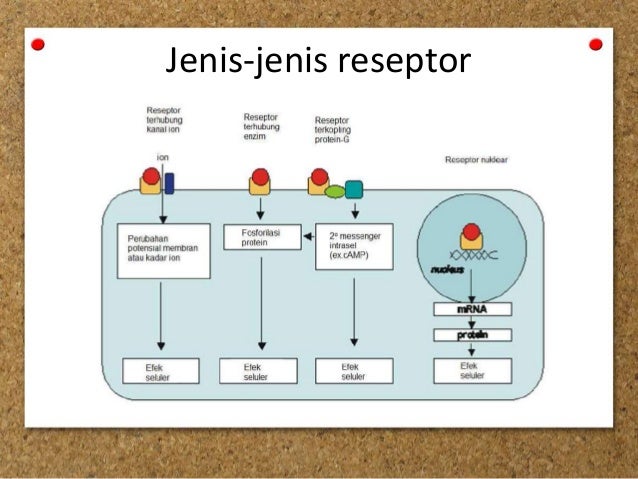 Interaksi obat & reseptor