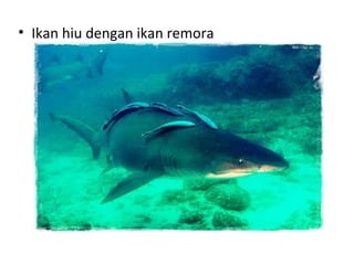 Interaksi spesies | PPT