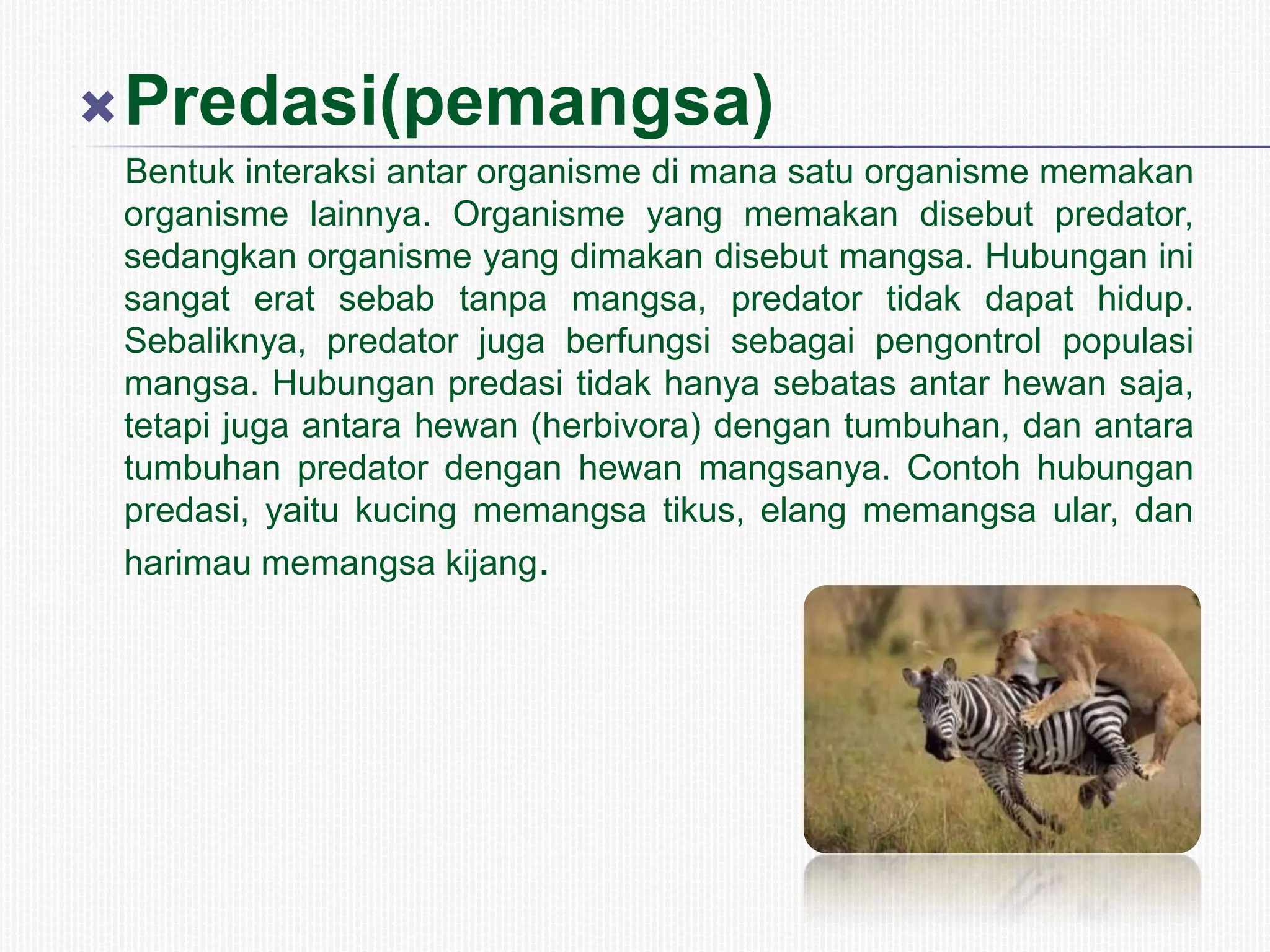 Interaksi Spesies dan Komunitas Biologi.pptx