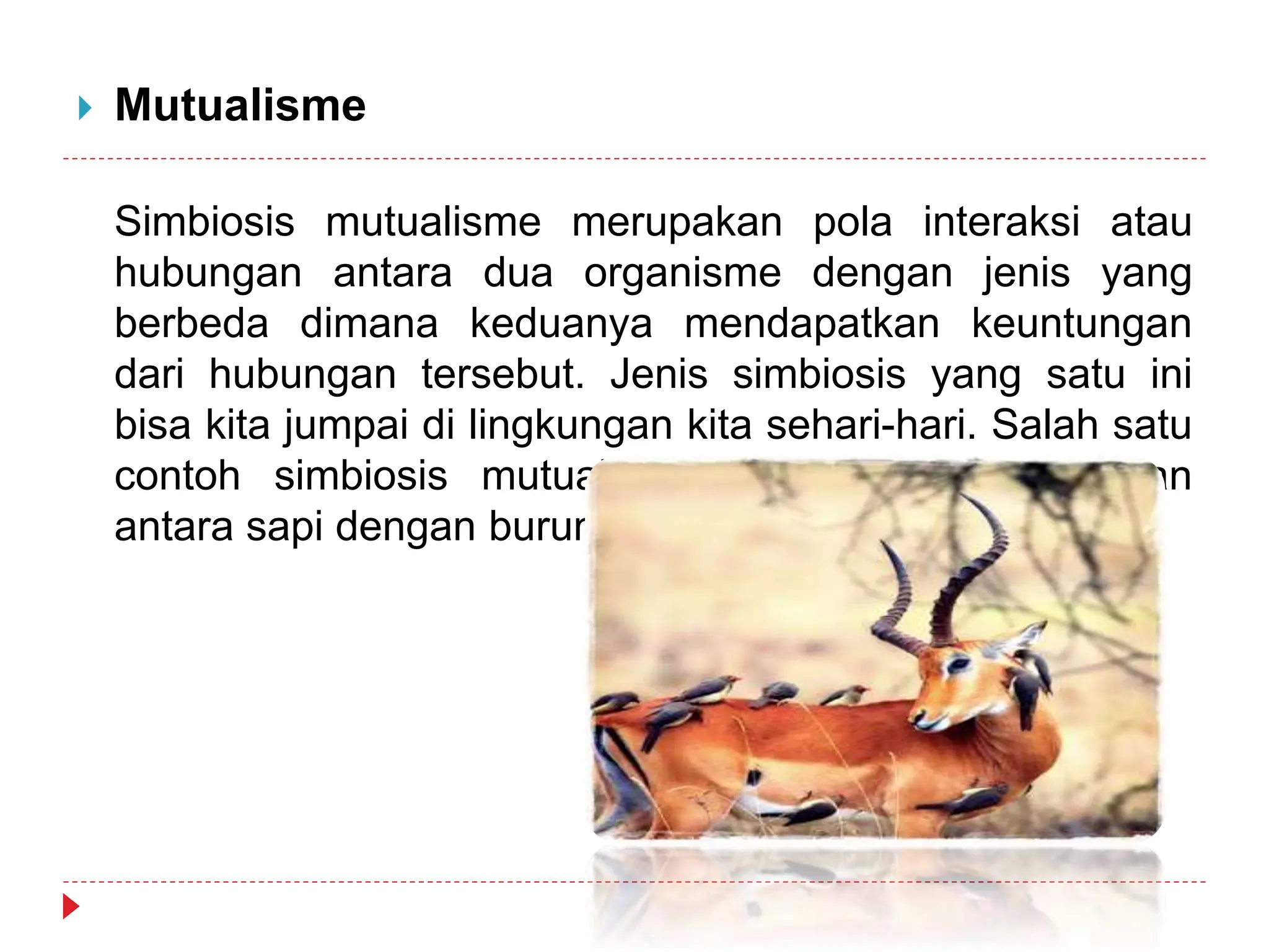 Interaksi Spesies dan Komunitas Biologi.pptx