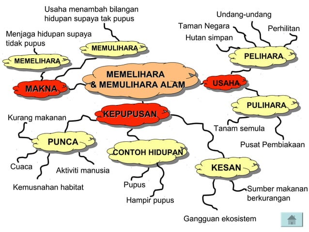 Interaksi tahun 6 k11 | PPT