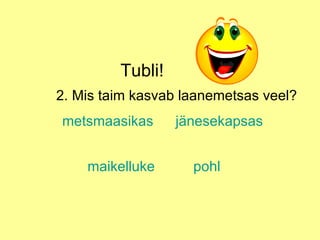 laanemets | PPT