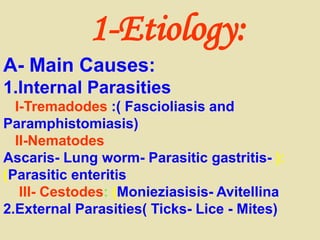 Internal and external parasites prof.dr Hamed Attia | PDF