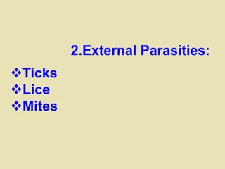 Internal and external parasites prof.dr Hamed Attia | PDF