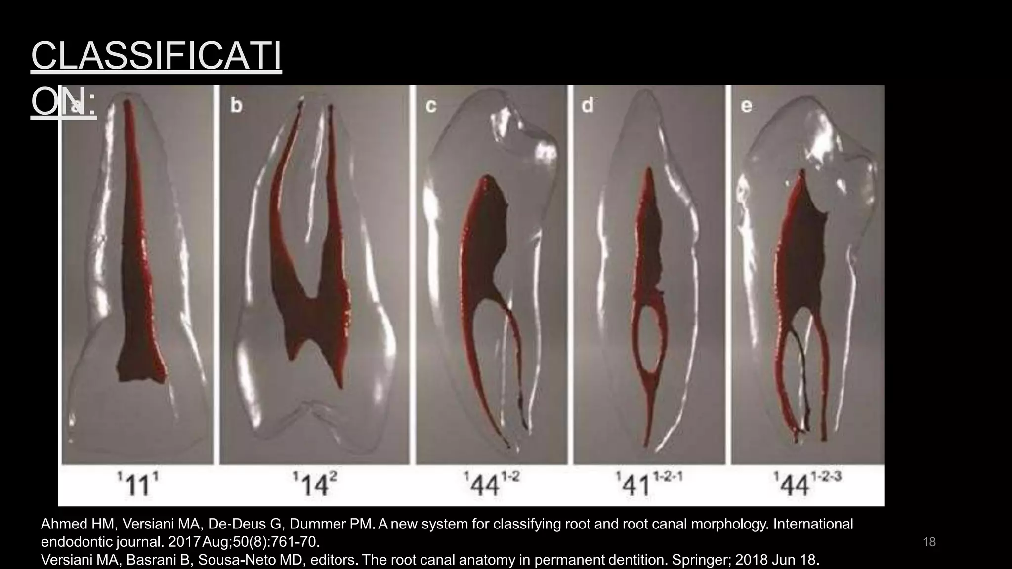interanal anatomy 1.pptx
