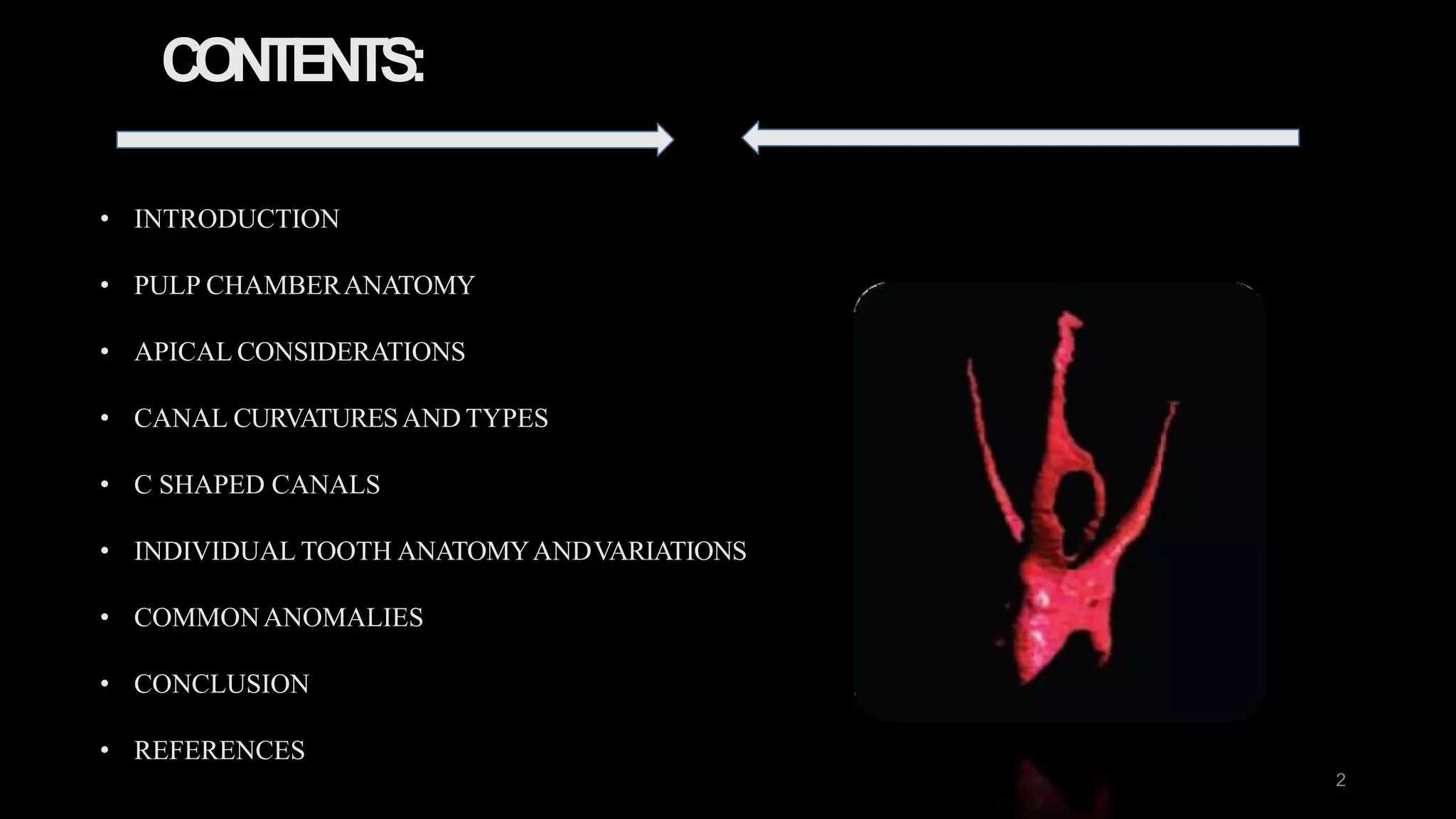 interanal anatomy 1.pptx