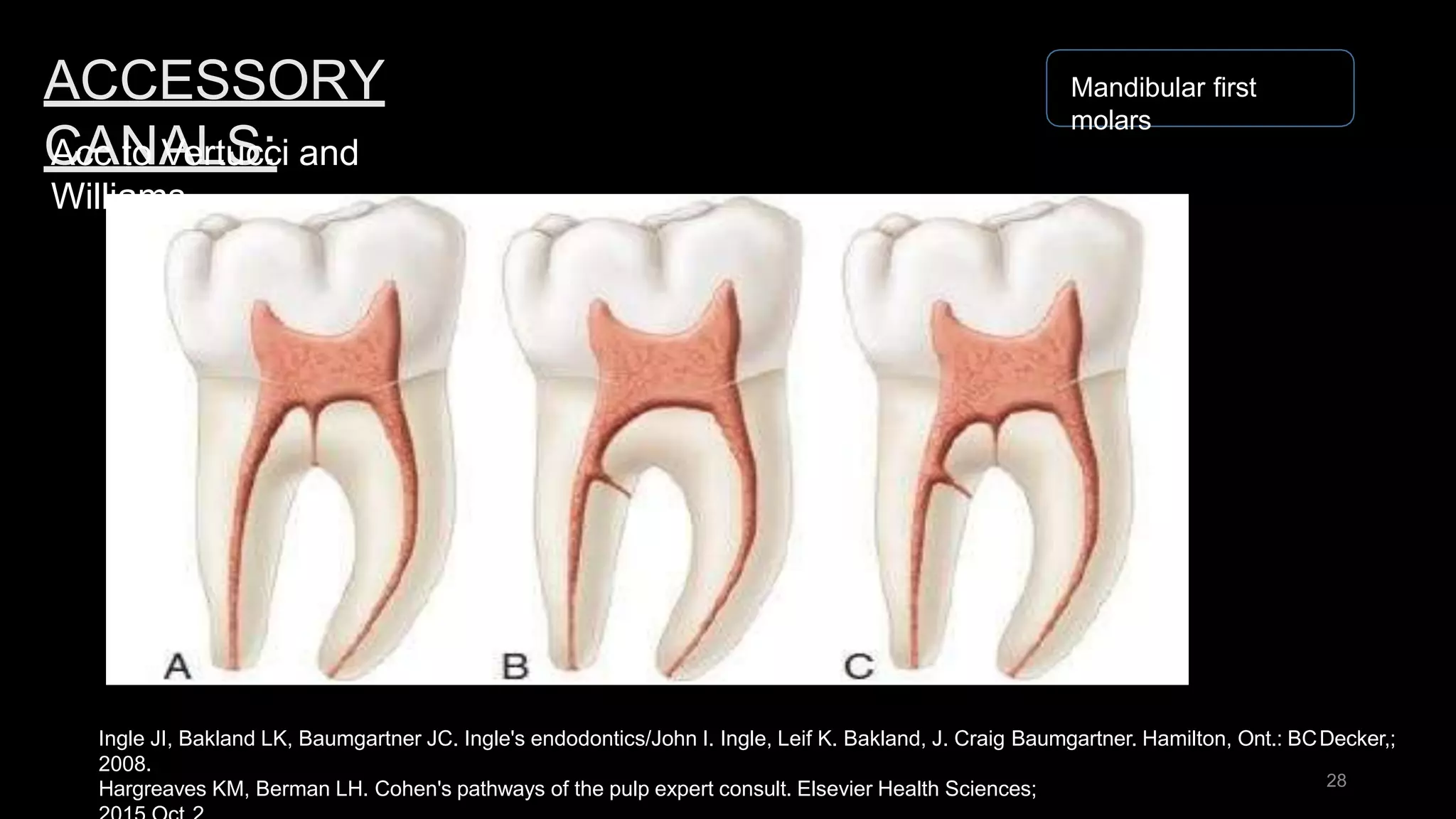 interanal anatomy 1.pptx
