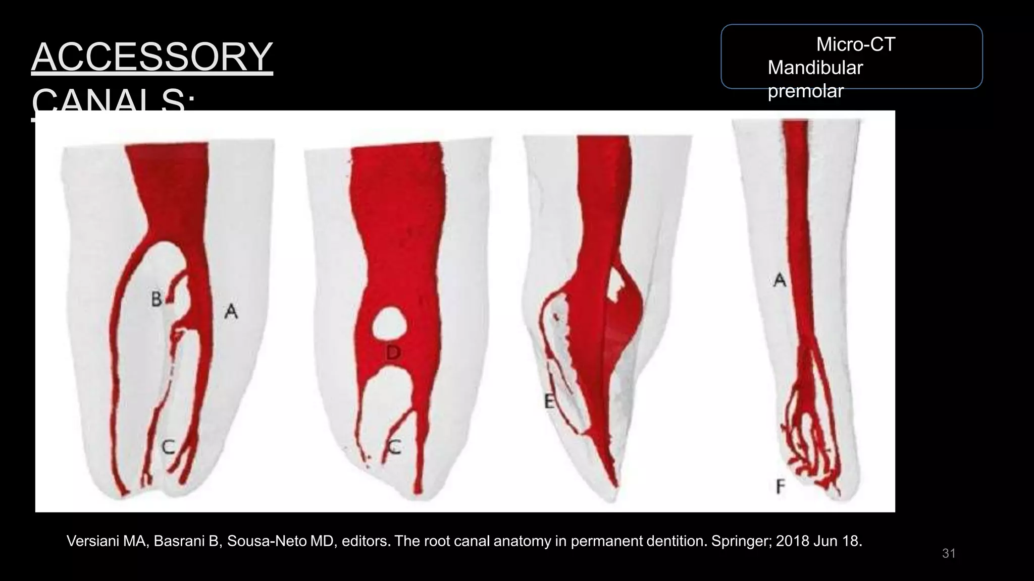 interanal anatomy 1.pptx