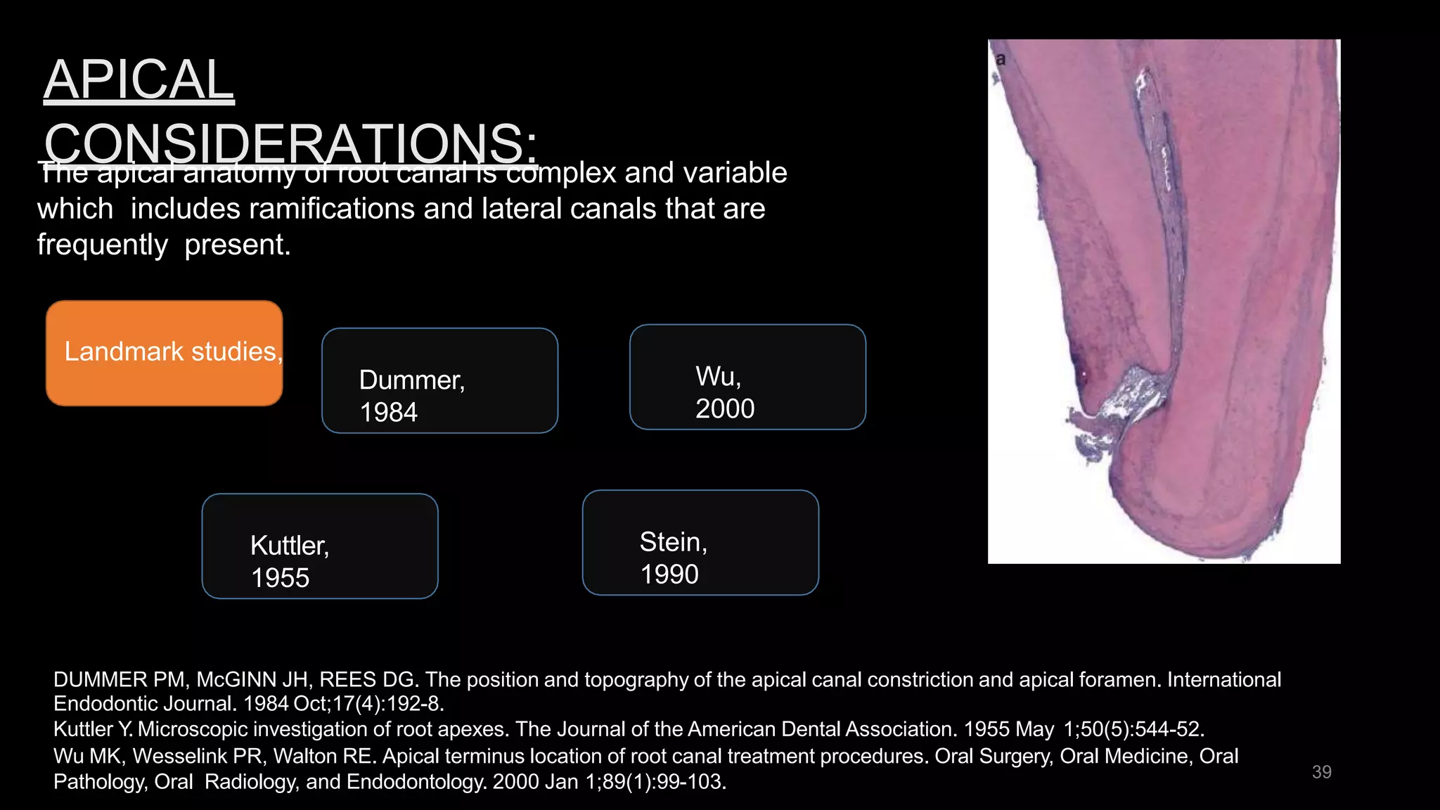 interanal anatomy 1.pptx
