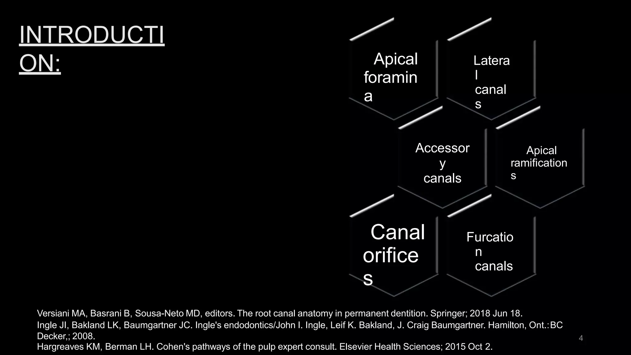 interanal anatomy 1.pptx