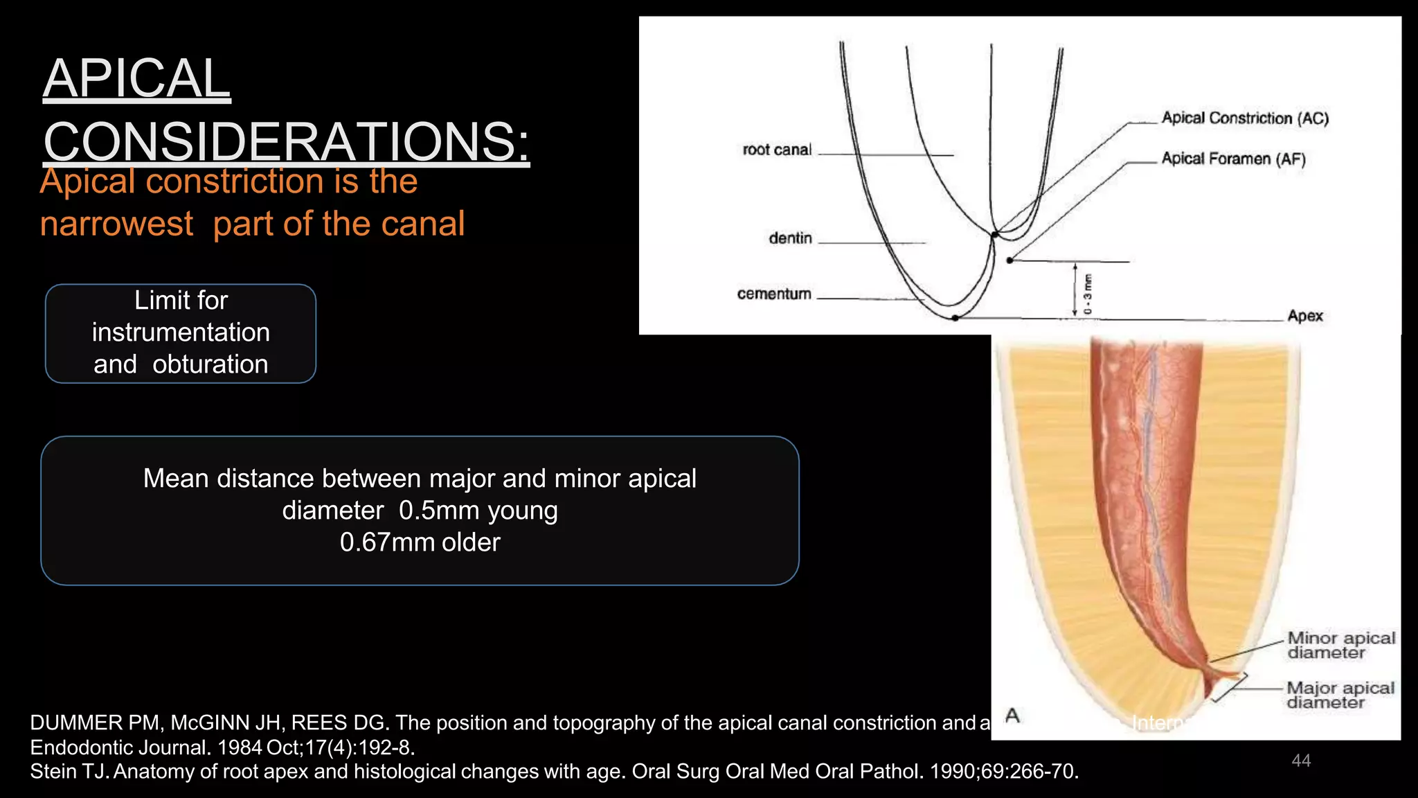 interanal anatomy 1.pptx