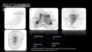 interanal anatomy 1.pptx