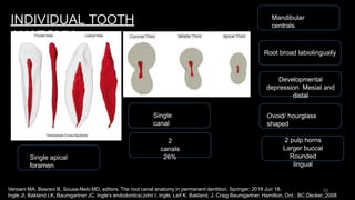 interanal anatomy 1.pptx