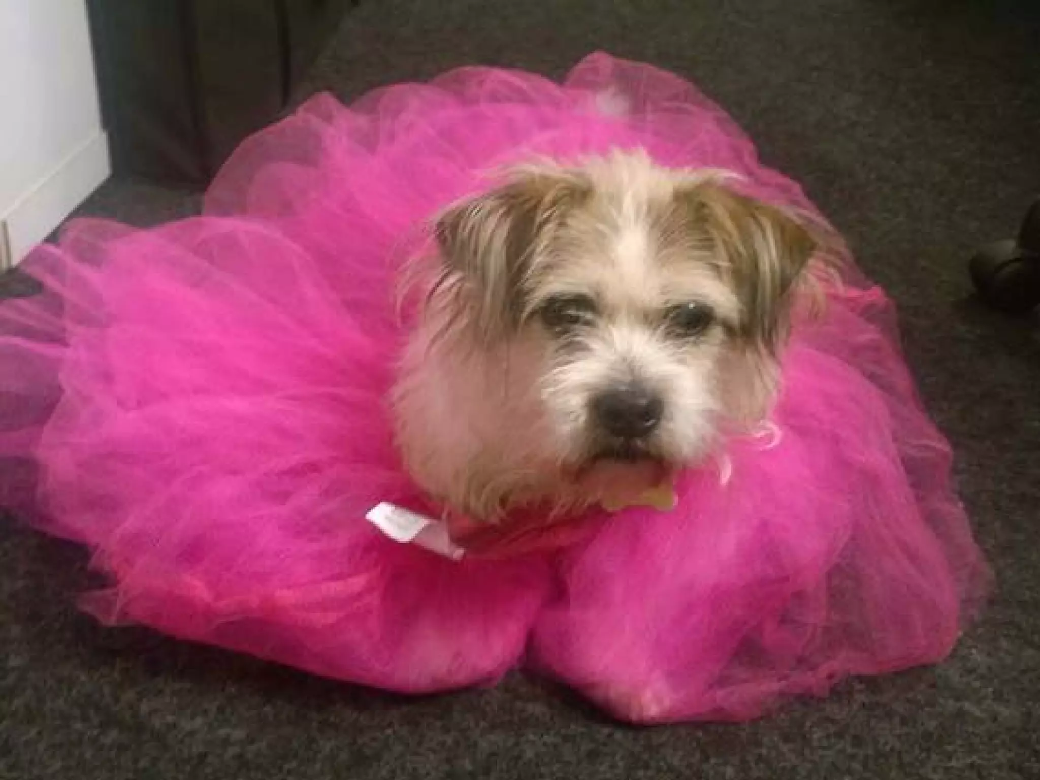 Inside Interbrand's walls | PDF